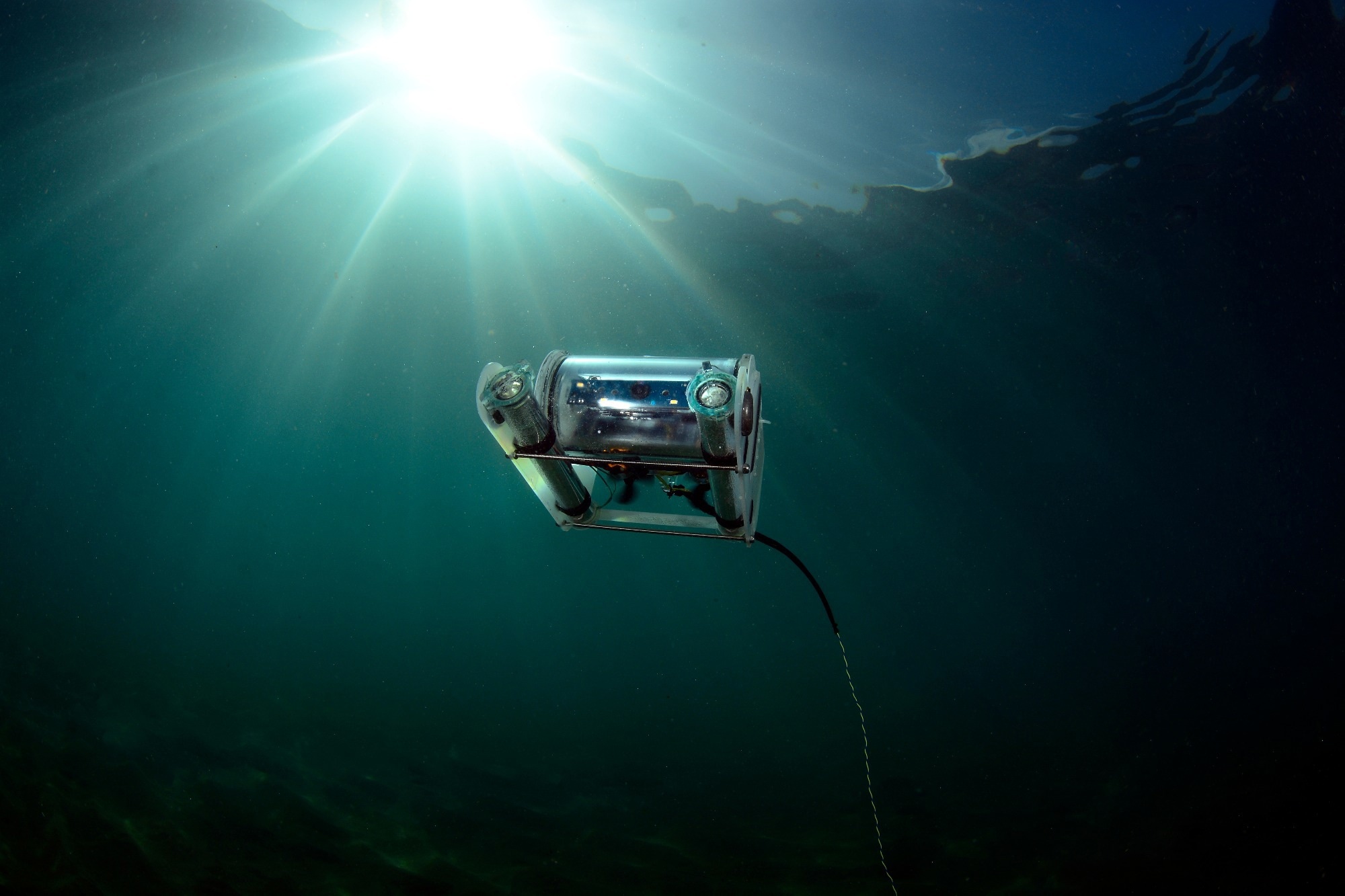 Autonomous eDNA Robot Enables Real-Time Aquatic Monitoring